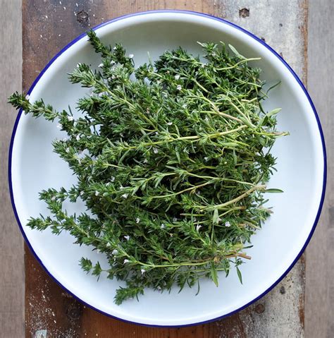 Savory Herbs Johns Island At Doris Whitfield Blog