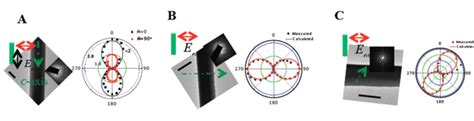 3 Tem Data And Shg Polarimetry Results On Cds Wurtzite Nanowires