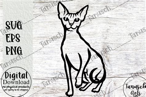 Sphynx Cat SVG Naked Cat Cut File Cricut Bundle Designful Market