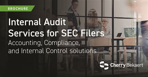 Charles L On Linkedin Internal Audit Services For Sec Filers