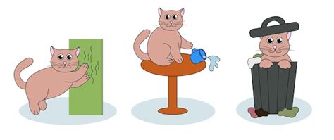 Premium Vector Set Of Problem With Cat Behavior Kitten Scratches