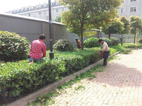 小区美化小区路面美化城市美化大山谷图库