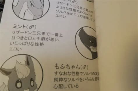 Doujinshi Pokemon Charizard X Charizard A5 26pages Kemorun Riza
