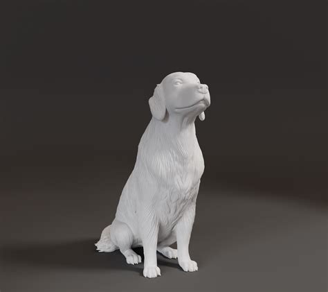 🐕 Golden Retriever・ Stl File For ・cults