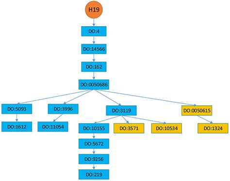 Brwlda Bi Random Walks For Predicting Lncrna Disease Associations Oncotarget
