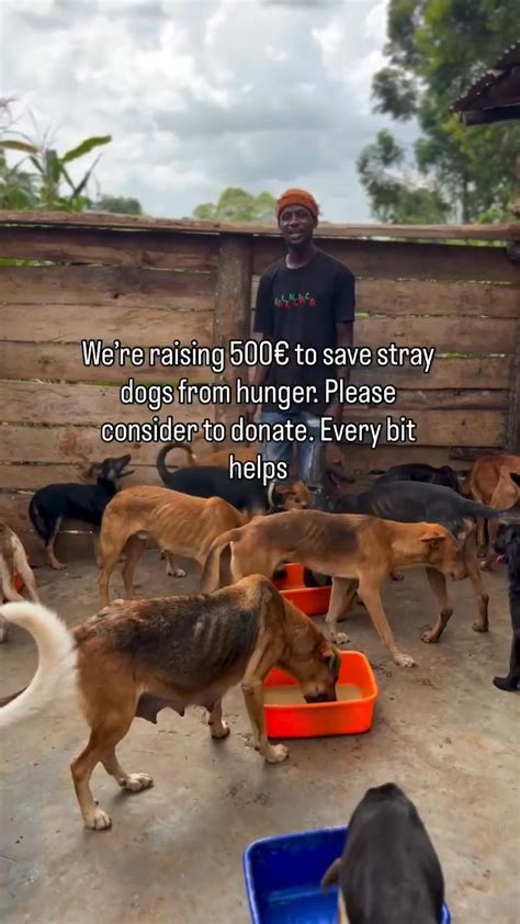 Hey Everyone I Hope Youre All Doing Well Were On A Mission To Feed