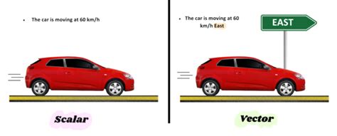 Vectors And Scalars Gcse Physics Explained With Examples
