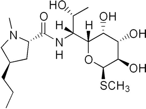 Lincomycin Hydrochloride Susceptibility Testing Toku E