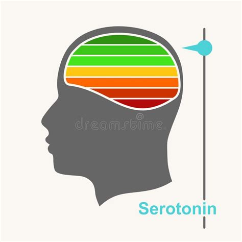Human Head And Hormone Serotonin Level Scale Concept Of Medicine And