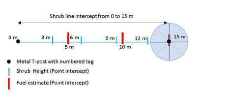 Shrub Cover And Composition Are Recorded By Continuous Line Intercept