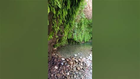 Polparzin Ghotvand پل پرزین گتوند Youtube Shortvideo Nature Love