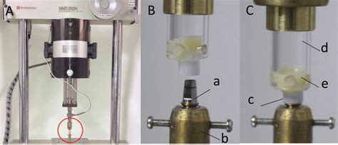 The Specimen And The Testing Machine A A Custom Made Jig With The