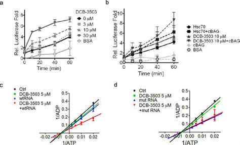 Dcb 3503 Treatment Altered The Chaperone Activity Of Hsc70 Chaperone