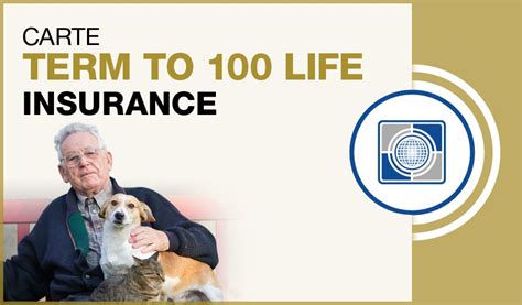 Basic Life Insurance Imputed Income Financial Report