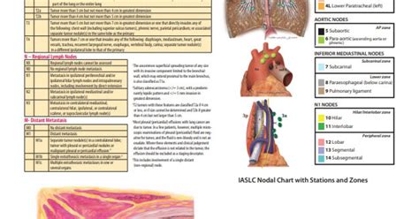 Poster 8th Edition Lung Cancer Tnm Staging Summary Poster Iaslc