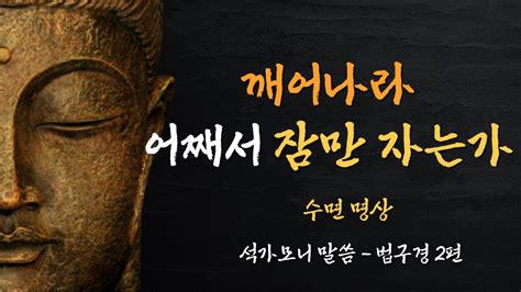 법구경 2편 석가모니 말씀 부처님 말씀 불교 명언 인생조언 오디오북 Youtube