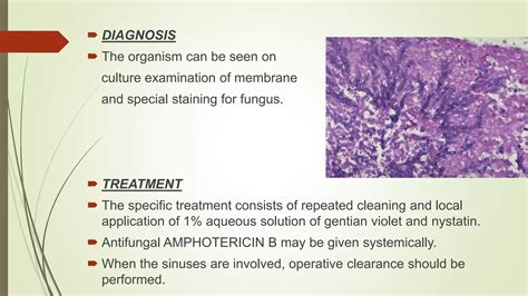 Granulomatous Diseases Of Nose Pptx
