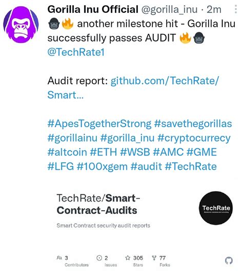 🦍🦍🦍🔥🔥🔥 Audit Successfully Passed 🔥🔥🔥🦍🦍🦍 Rgorillainuofficial