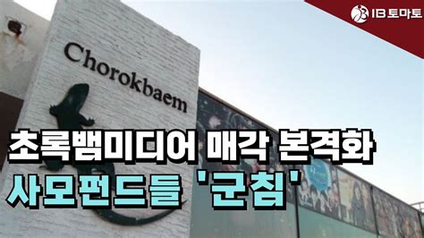 초록뱀미디어 매각 본격화사모펀드들 군침 초록뱀미디어 광고 드라마 Youtube