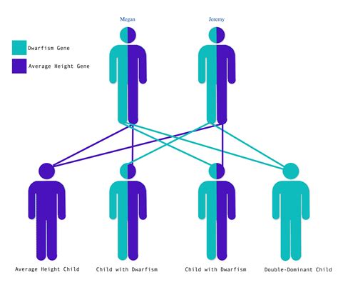 Achondroplasia Dwarfism People