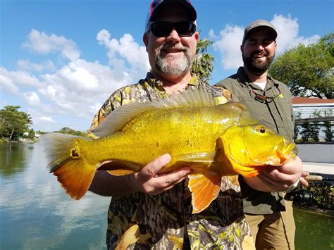 Peacock Bass Fish Mounts And Replicas By Coast To Coast Fish Mounts