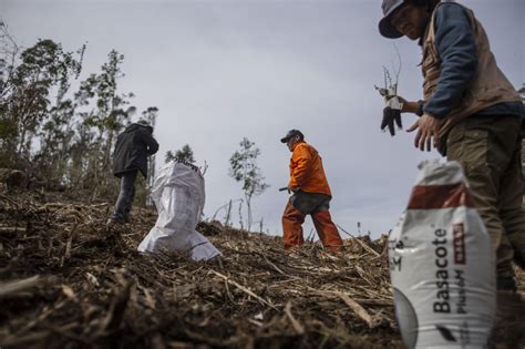 Conservación Ex Situ Campus Naturaleza Udec