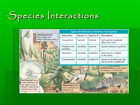 Species Interactions