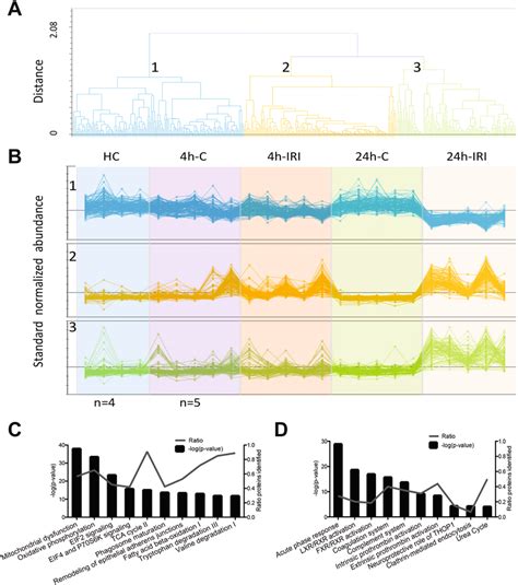 Hierarchical Clustering And Canonical Pathway Analysis Of The Iri