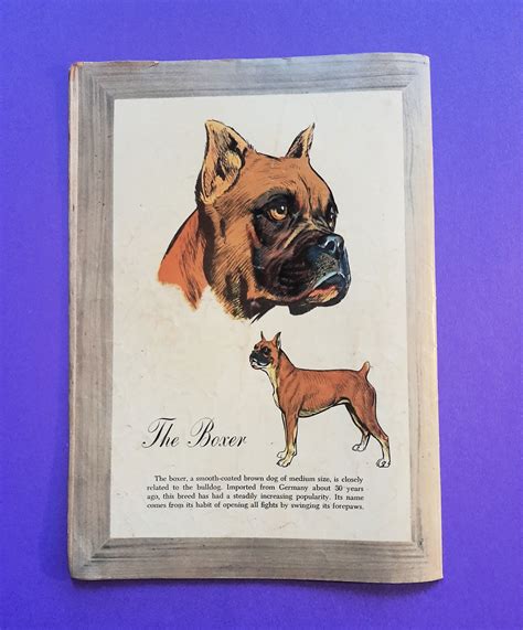 Lassie Comic Book Volume 1 No 25 Dell Nov Dec 1955 Silver Age Comics