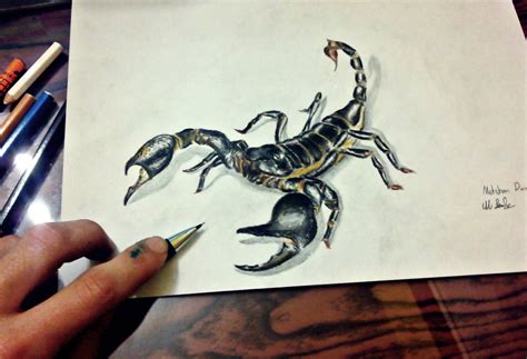 Scorpion Pencil Drawing A Guide To Capturing The Essence Of A Desert