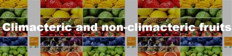 Climacteric And Non Climacteric Fruits