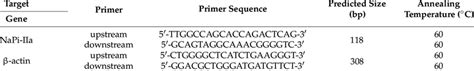 Primer Sequences Used For Real Time Rt Qpcr Download Scientific Diagram