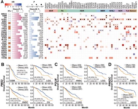 Ddr Gene Amplification In The Tumor Correlates With Poor Patient