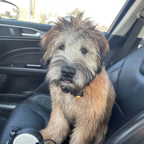 Jamie Shockley Youtube