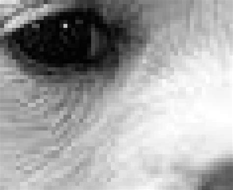 Photomask Blog Photomask Portal