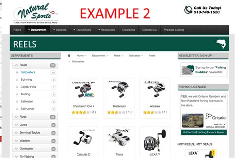 Hikashop Header Modules Remain On Product Pages Hikashop