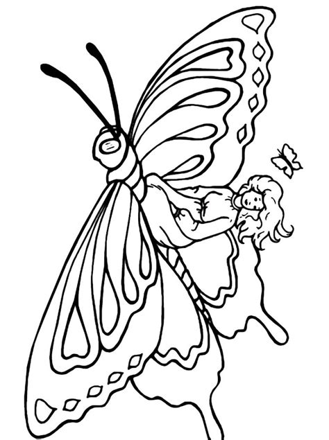 Farfalla Da Colorare Disegni Da Colorare