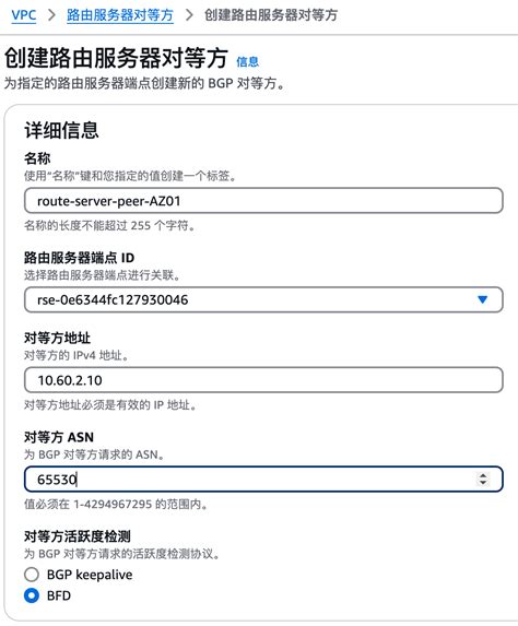利用 Vpc Route Server 实现冗余网关的保护切换 亚马逊aws官方博客
