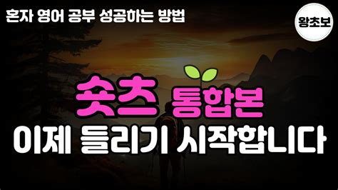 영어 왕초보 영어회화 성인이 혼자영어 공부 성공하는 방법영어회화영어공부영어듣기영어 잘하는법 Youtube