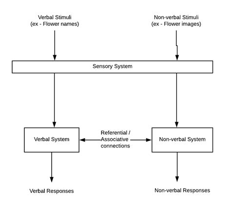 testing machine learning models on dual coding principles analytics yogi