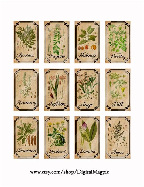 Herb And Spice Apothecary Labels Digital Printable Vintage Labels For