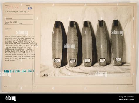 A Photograph Showing Split Shell Casts Made By The Ta Gillespie