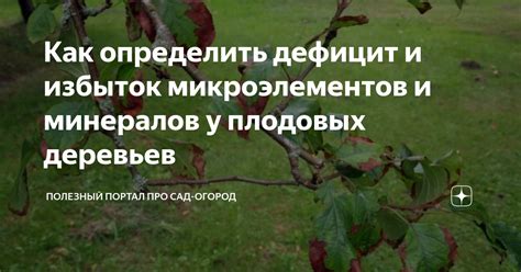 Как определить дефицит и избыток микроэлементов и минералов у плодовых