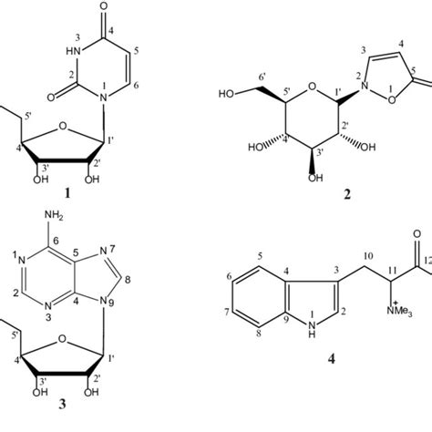Structures Of Compounds Download Scientific Diagram