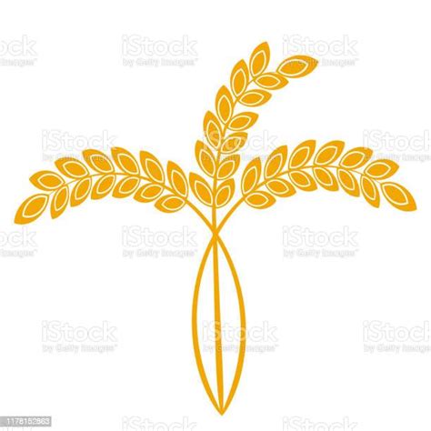 밀 또는 보리 귀 수확 밀 곡물 성장 쌀 줄기 와 전체 빵 곡물 또는 필드 시리얼 영양 호밀 곡물 농산물 귀 기호 격리된 벡터 아이콘 가을에 대한 스톡 벡터 아트 및 기타