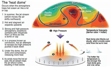 Imd Issues 4th Heatwave Alert In Konkan Region Other Maharashtra