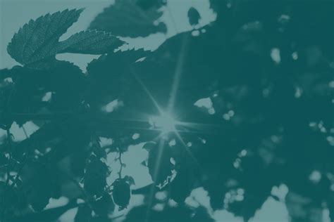 Csr — Crossline I Garment Maker