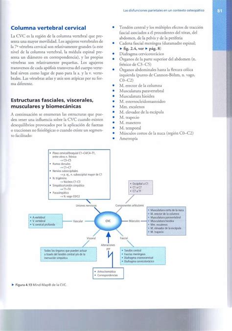PDF 17 Columna Vertebral Cervical DOKUMEN TIPS