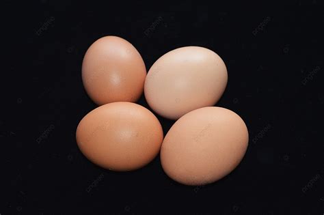달걀 검정 배경 사진 계란 검은 배경 사진 배경 일러스트 및 사진 무료 다운로드 Pngtree
