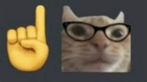 Pin By Julio Juarez On Memes Cat Emoticon Cat Emoji Cat Memes
